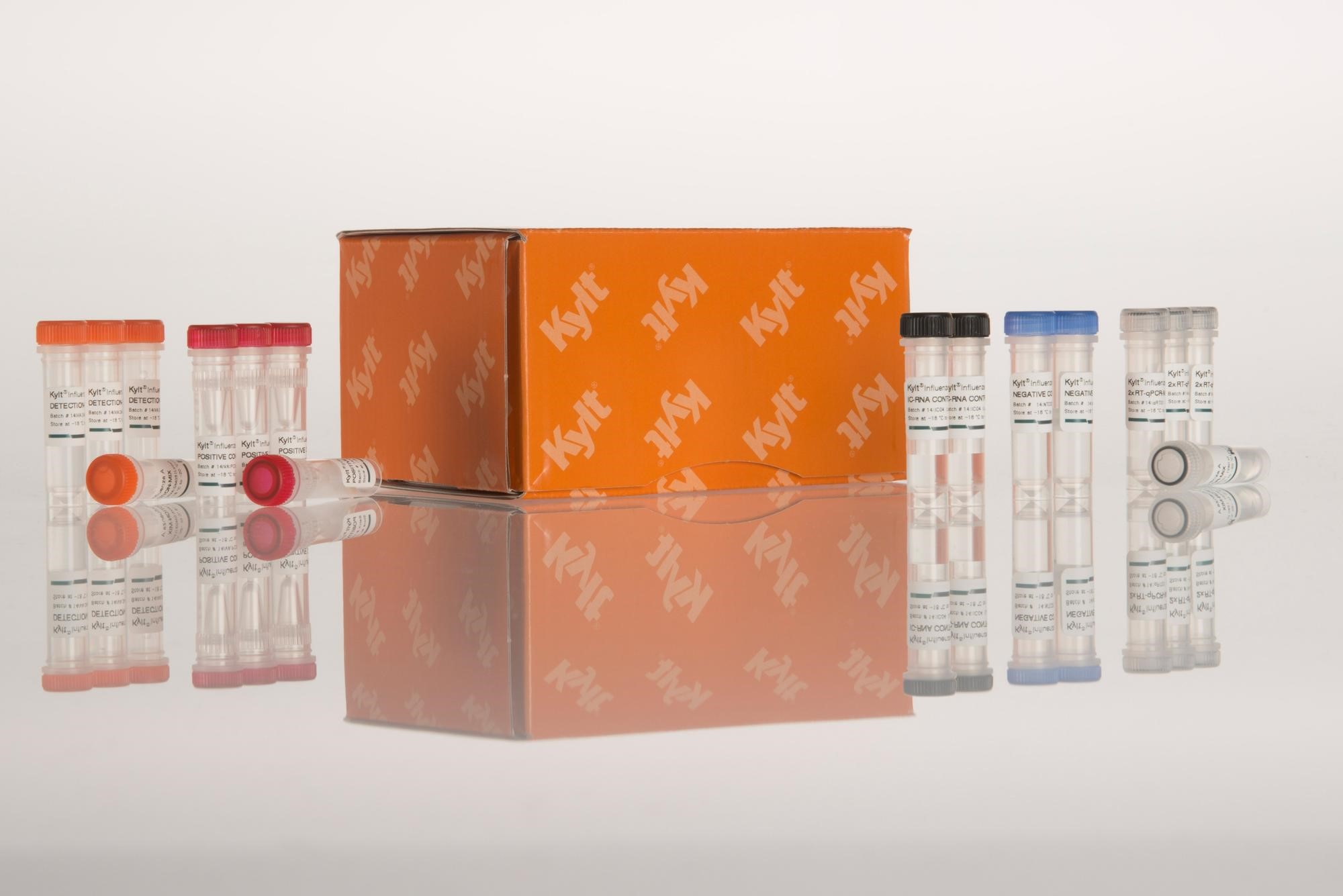 Kylt® Salmonella Spp Real Time Pcr Detection Bayramli Group