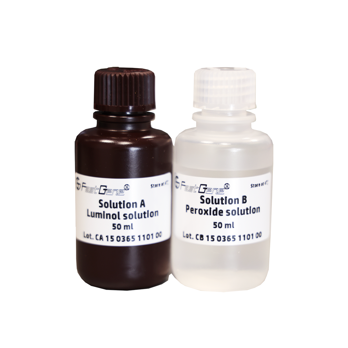 FastGene Western ECL Kit » Bayramli Group